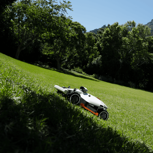 Mammotion Luba 2 AWD - Proven All-Terrain Robot Lawn Mower